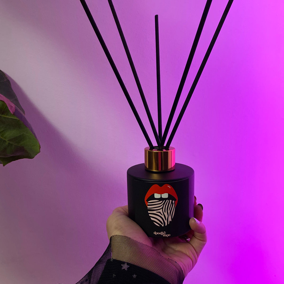 Coconut & White Tea Aromatherapy Room Diffuser - Kiss Me | Doodlemoo